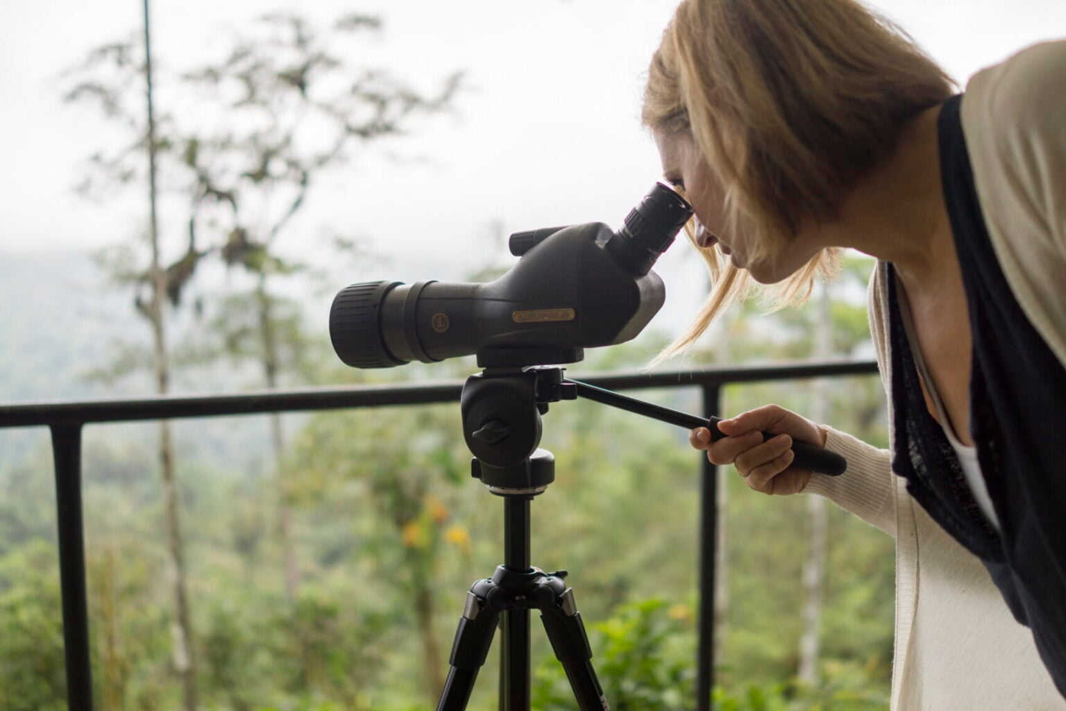 Six Best Places for Birdwatching in Ecuador | Select Latin America